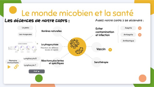 Carte Mentale Le monde microbien et la santé | Genially