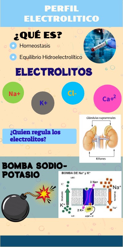 Equipo 4_Perfil Electrolítico | Genially