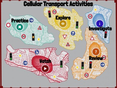 Cell Transport Scenarios | Genially