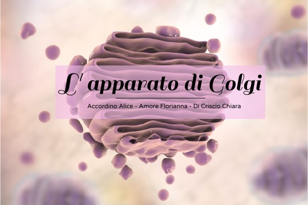 The Eukaryotic Cell