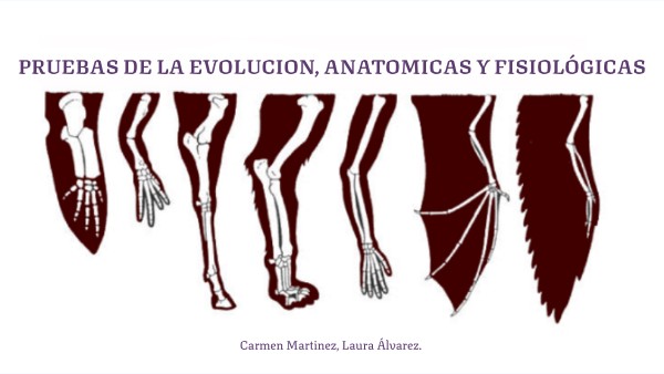 PRUEBAS DE LA EVOLUCIÓN, ANATÓMICA Y FISIOLÓGICA | Genially