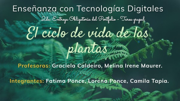 ciclo de vida de las plantas-Fatima Ponce, Lorena Ponce, Camila Tapia