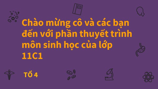 Thực hành sinh 11C1 Tổ 4 | Genially