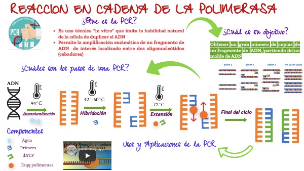 PCR: USOS Y APLICACIONES