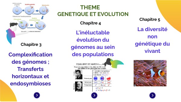 Génétique suite | Genially