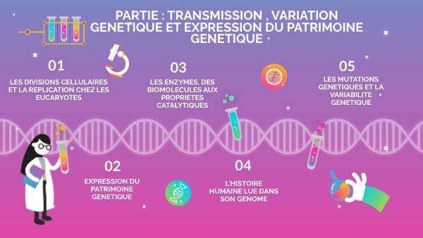 PARTIE 1 Transmission, variation et expression du patrimoine génétique