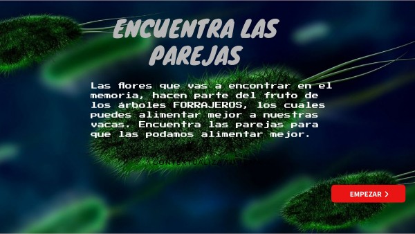 Memory PRIMAVERA | Genially