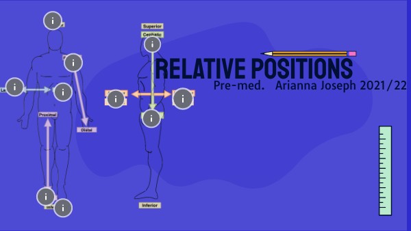 MULTI-PATHS DESKTOP PRESENTATION | Genially