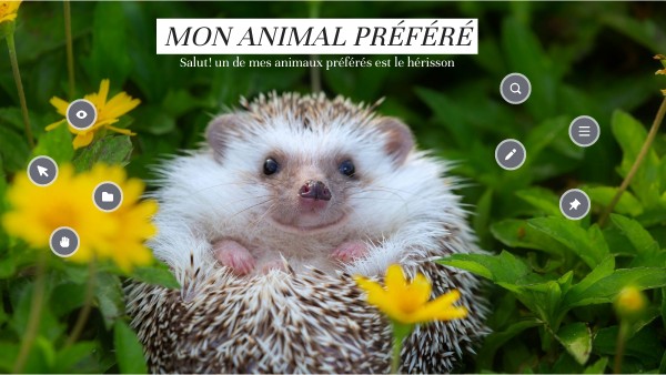 mon animal préféré