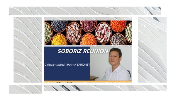 MATRIXES UNIVERSITY THESIS