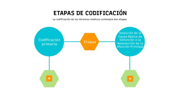 Etapas de la codificación | Genially