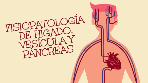 FISIOPATOLOGÍA DE HÍGADO, VESÍCULA Y PÁNCREAS | Genially