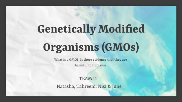GMO PRESENTATION
