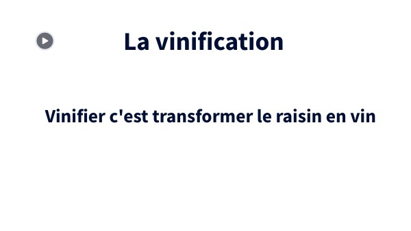 La vinification