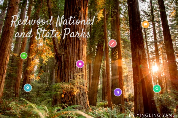 Redwood National and State Parks | Genially