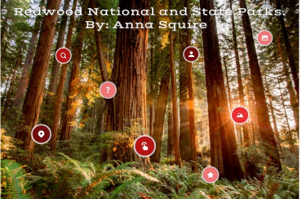 Redwood National Park. | Genially