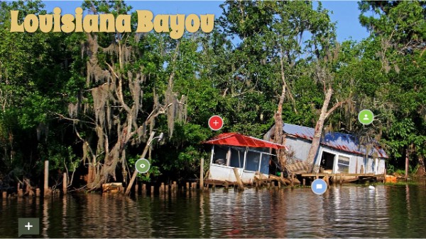 Louisiana Bayou | Genially