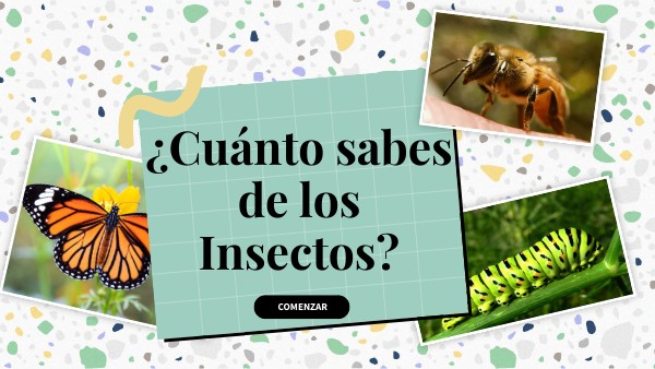 ¿Cuanto sabes de insectos? | Genially