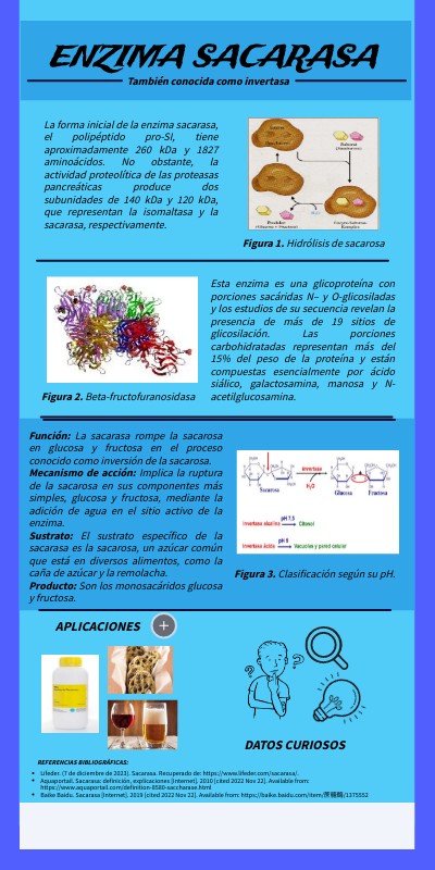 Infografía Enzima Sacarasa | Genially