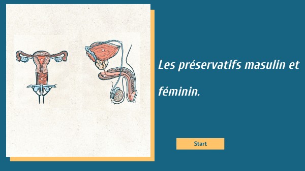 ANATOMY OF THE HUMAN BODY | Genially