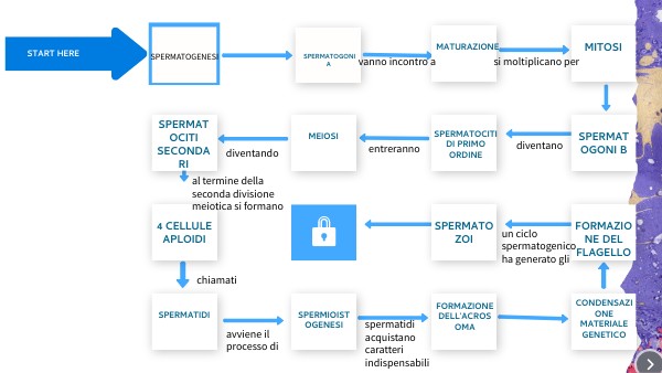 SEQUENCE MAZE | Genially