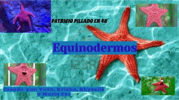 BIO-EQUINODERMOS | Genially