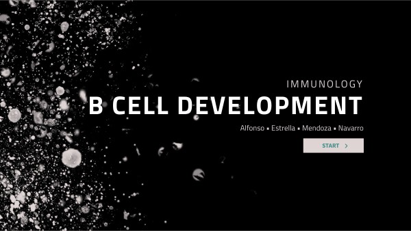 SGD - B Cell Development | Genially