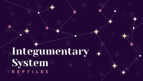 ZOOLAB - INTEGUMENTARY SYSTEM | Genially