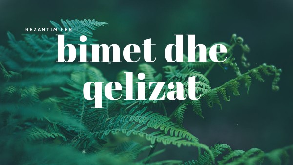 Copy - NATURE PRESENTATION