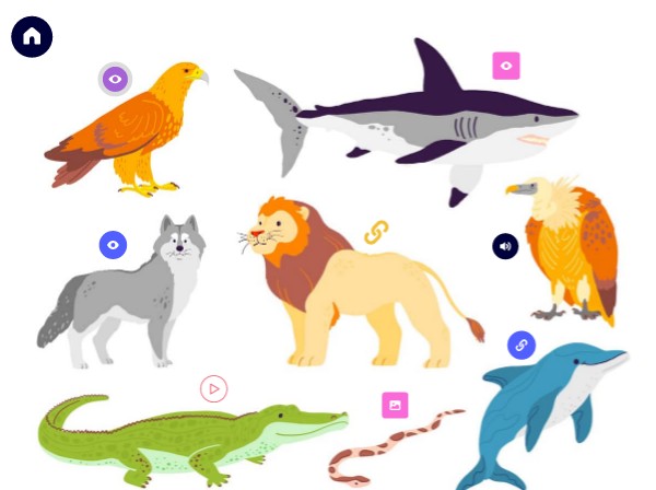 Animales carnívoros. | Genially