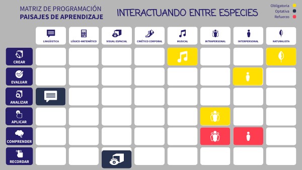 MATRIZ DE PROGRAMACIÓN