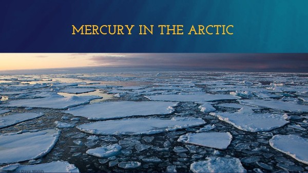 Mercury in the Arctic presentation | Genially