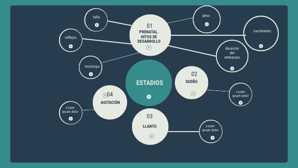 MAPA CONCEPTUAL CIRCULAR | Genially