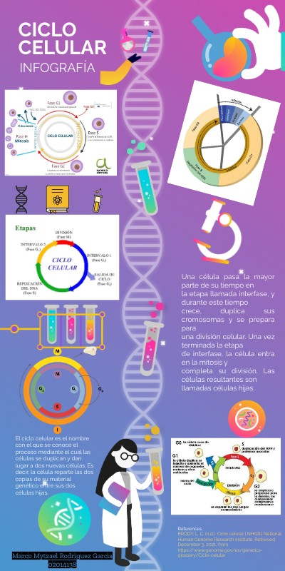 CICLO CELULAR | Genially