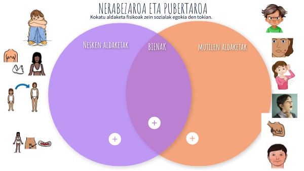 nerabezaroa eta pubertaroa