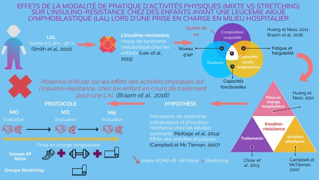 Infographie PICALL-M | Genially