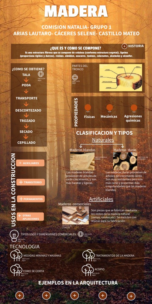 INFOGRAFIA TP4 | Genially