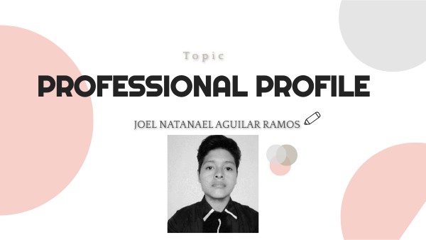 pROFESSIONAL PROFILE