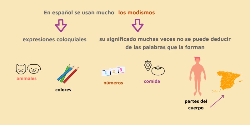 Modismos con partes del cuerpo | Genially