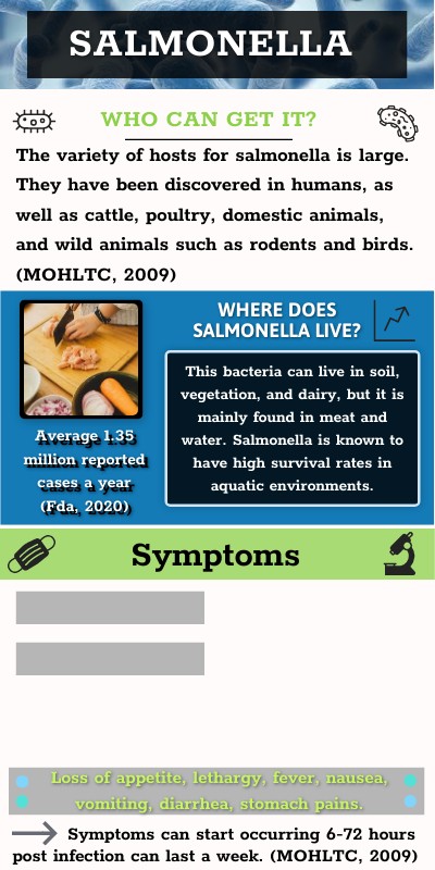 Salmonella | Genially