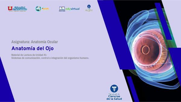 Anatomía del Ojo | Genially