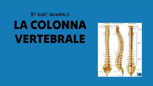 LA COLONNA VERTEBRALE | Genially