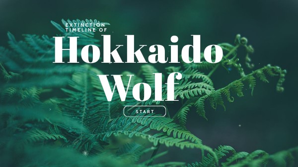 Hokkaido Wolf Timeline- PRESENTATION | Genially