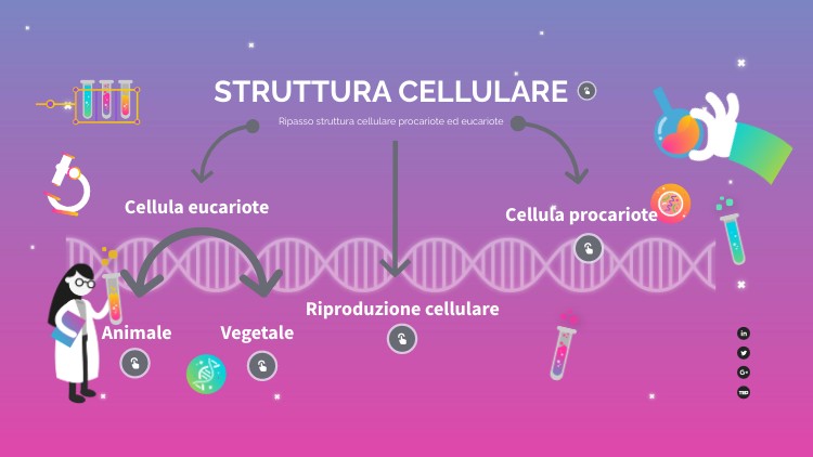 Struttura cellulare