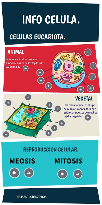INFO CELULA. | Genially