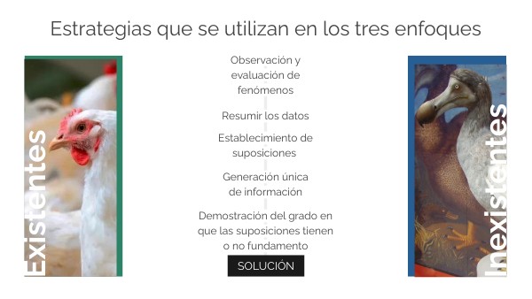 CONJUNTO CORRECTO | Genially