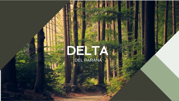DELTA PARANÁ | Genially