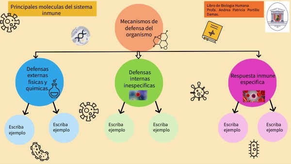 MAPA CONCEPTUAL- MECANISMOS DE DEFENSAS DEL ORGANISMO | Genially