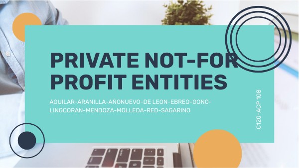 PRIVATE NOT-FOR-PROFIT ENTITIES(NPE)