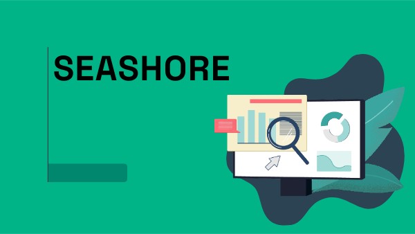 seashore